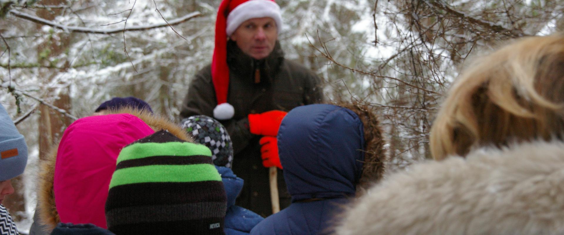 Metsaseiklus "Jõuluootus looduses" koos pere või meeskonnaga | Visit ...